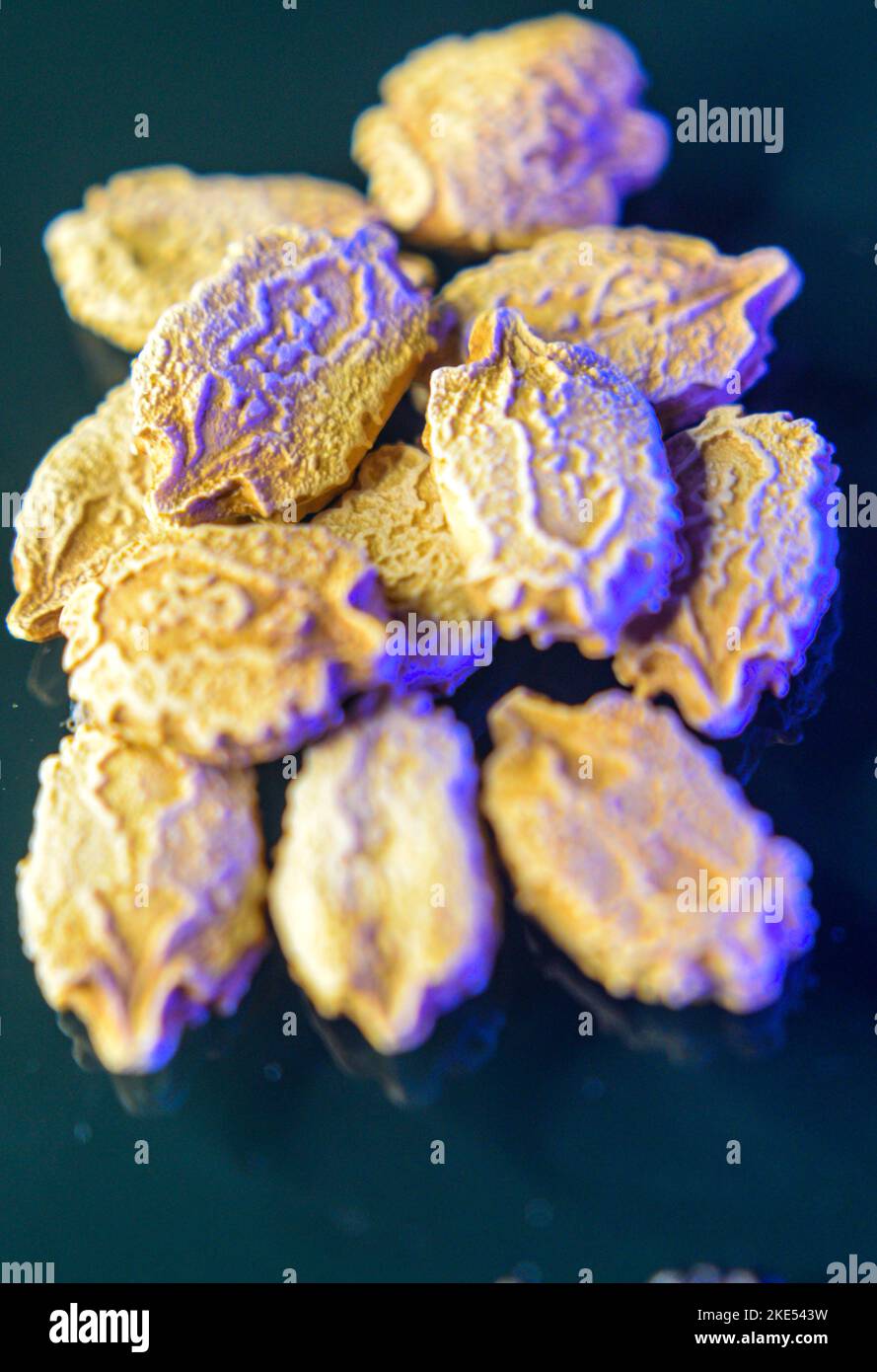 Seeds of bitter ground. It contains Iron, vit: A, B and C. it is also a ...