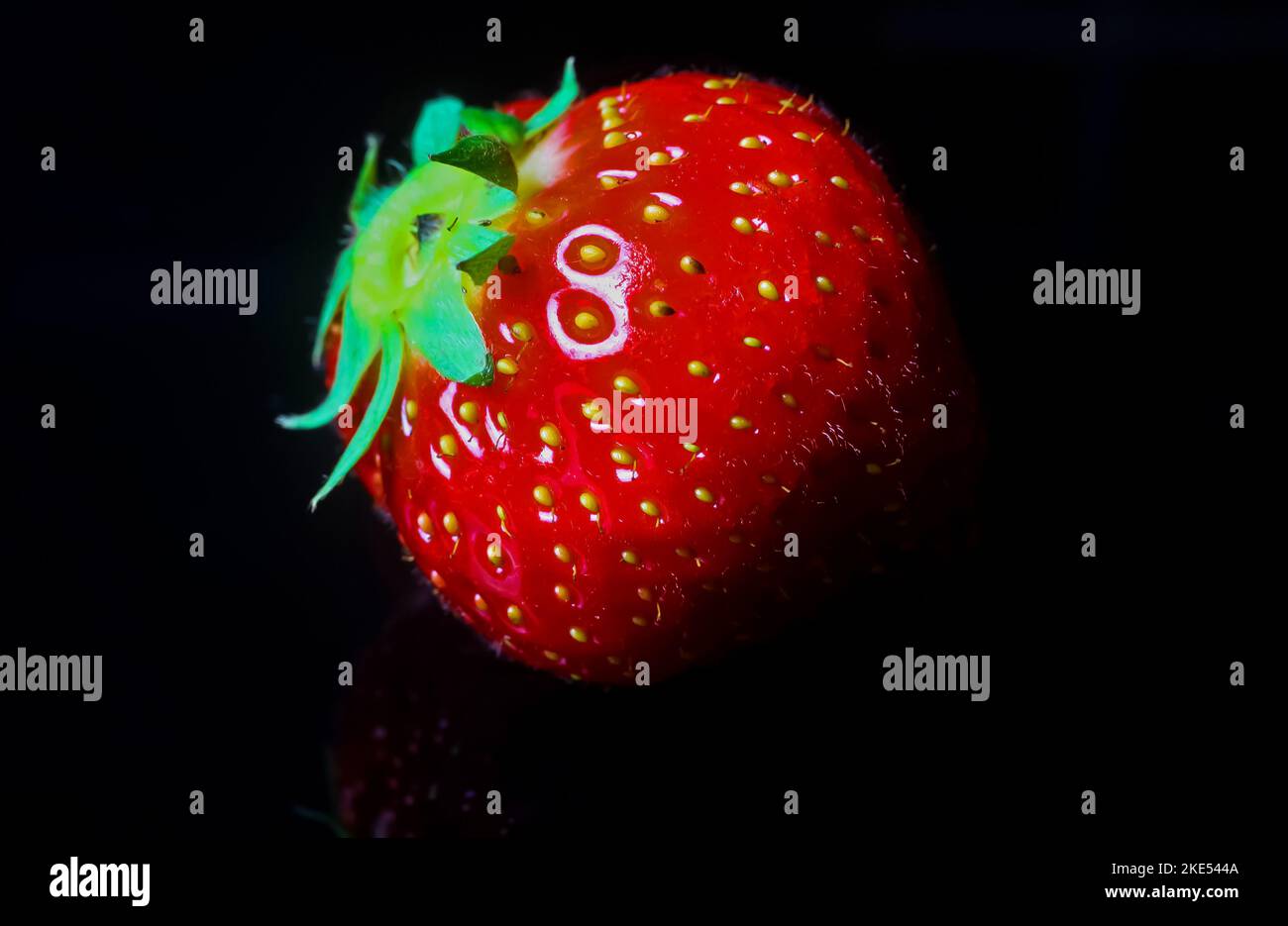 Macro close up of one single isolated ripe red strawberry fruit with ...