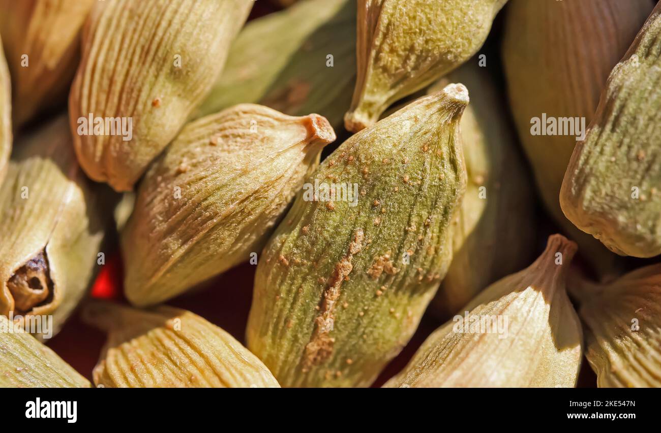 Green cardamom texture hi-res stock photography and images - Alamy