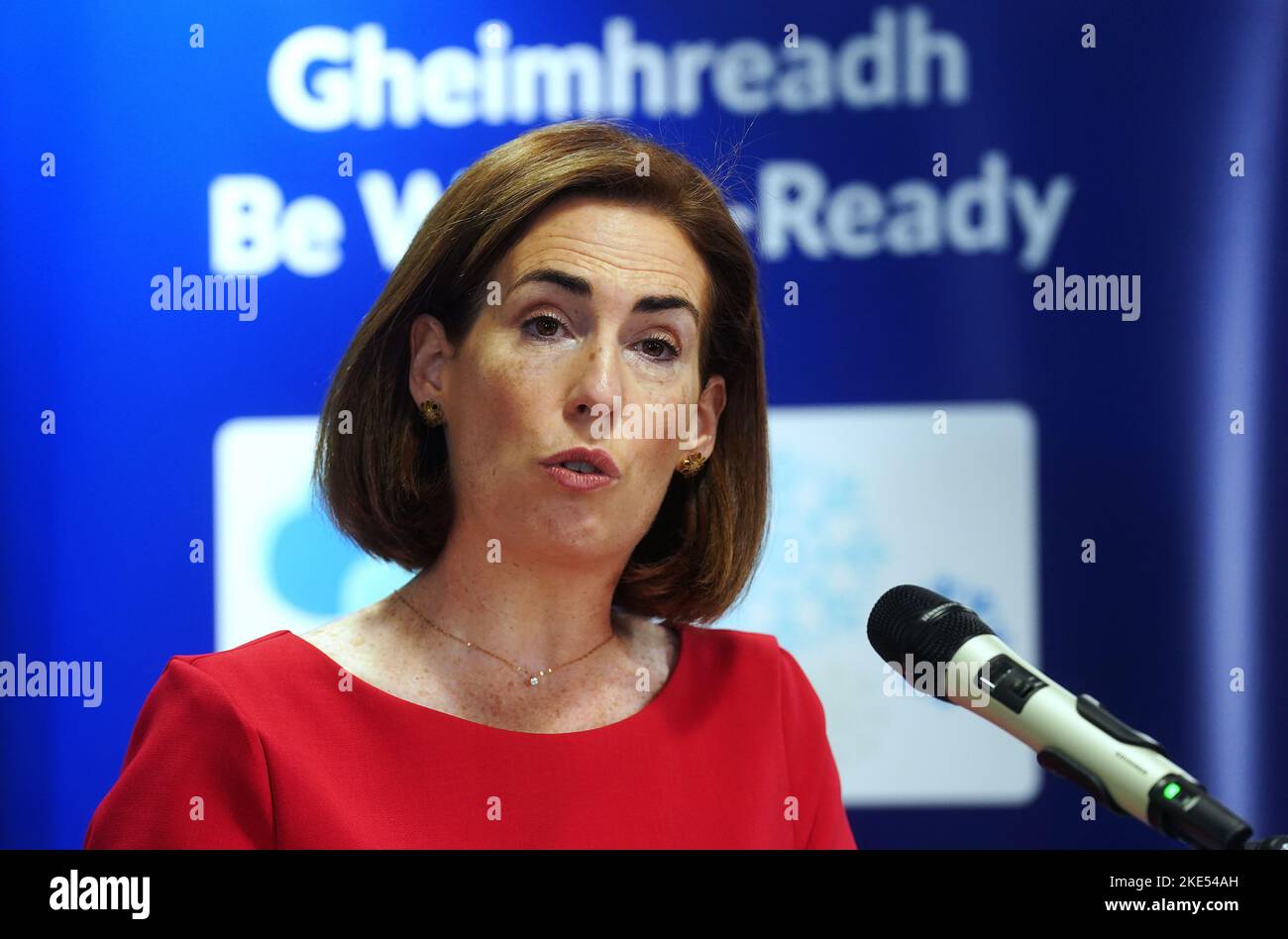 Minister of State with responsibility for International and Road ...