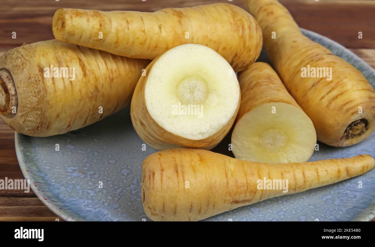 Closeup of group many raw isolated sliced parsnip root vegetables on ...