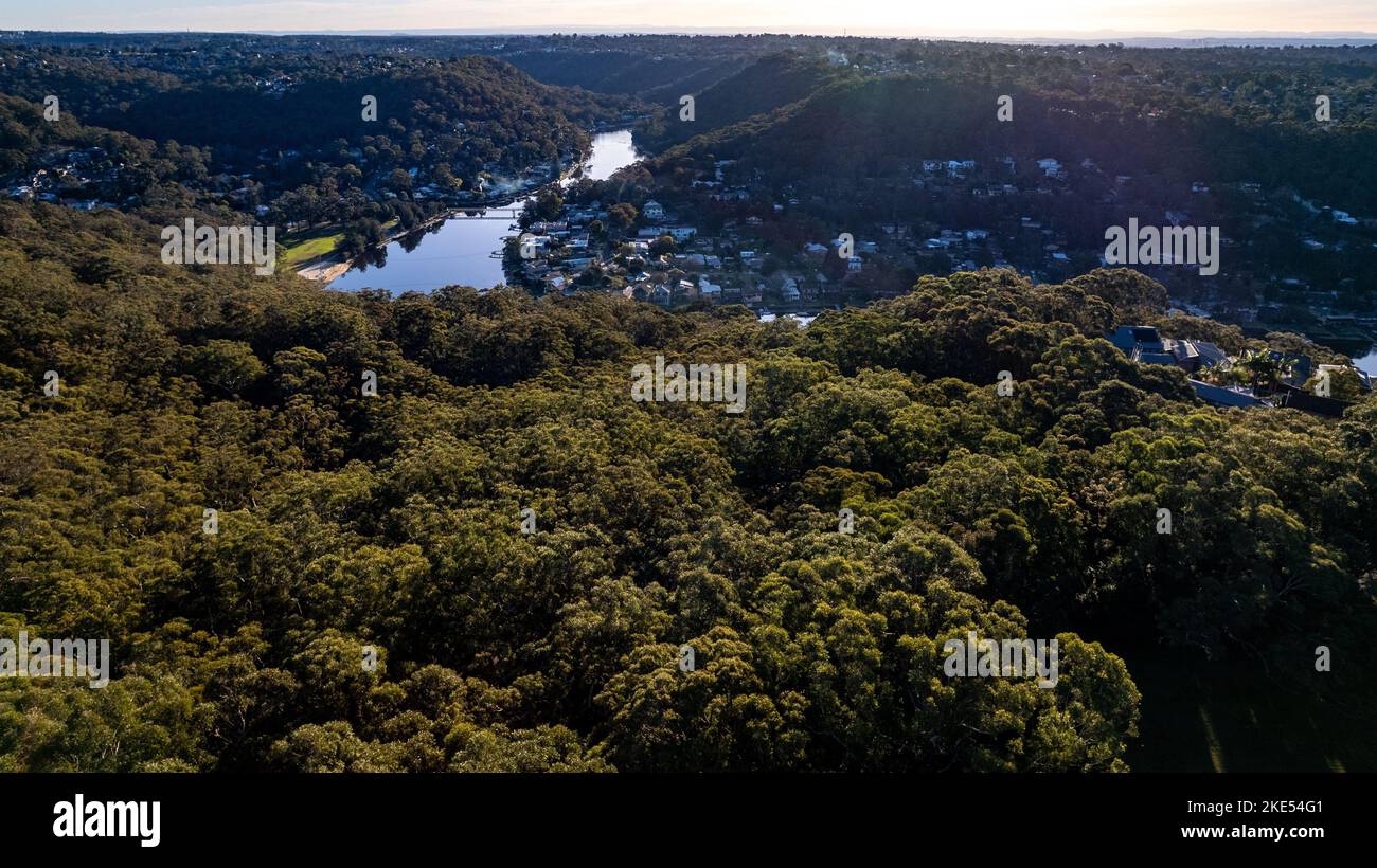 Aerial view of Woronora River surrounded by lush greenery and Woronora ...