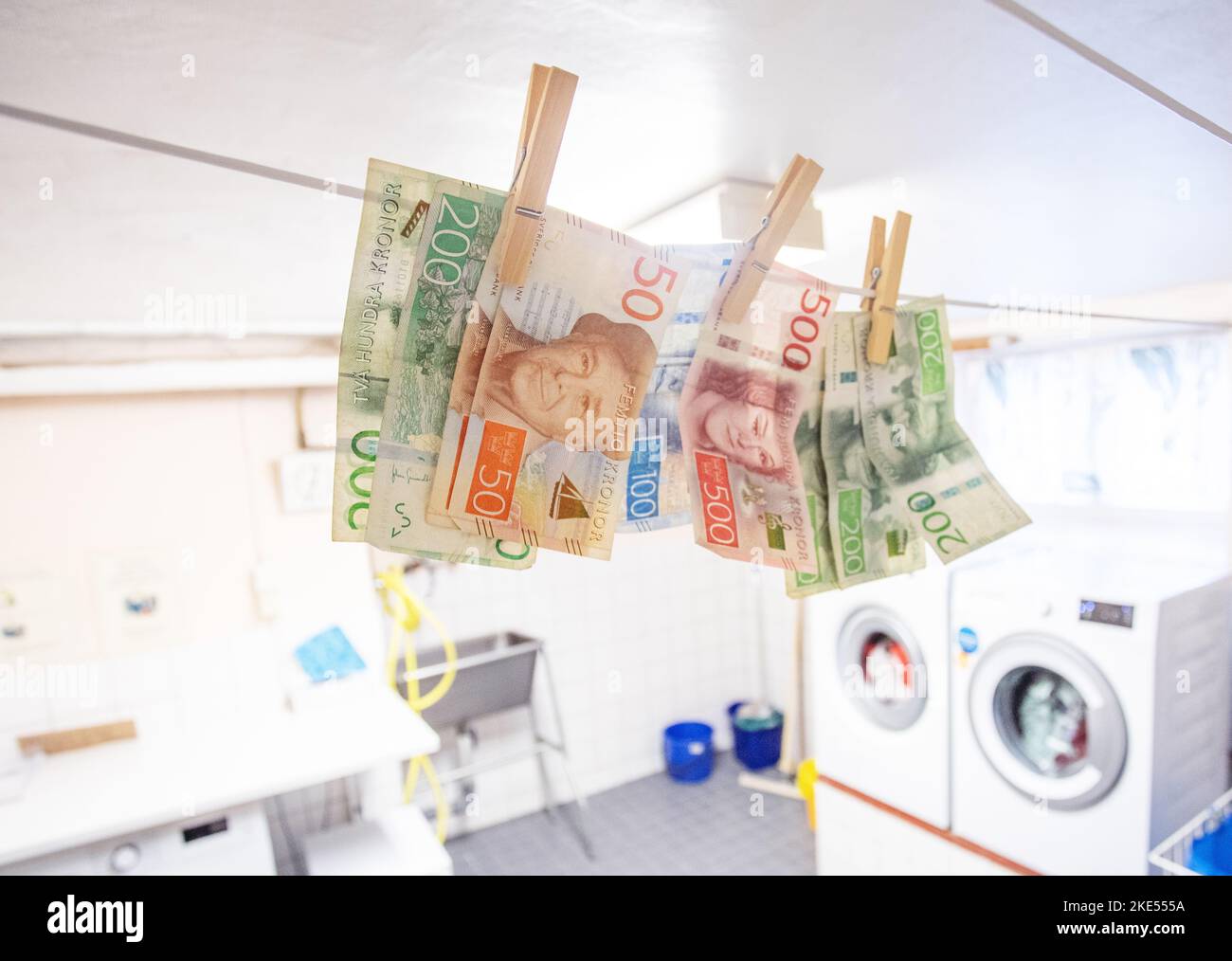 Washed swedish notes on a drying stretch. photo: Bo Arrhed Stock Photo ...