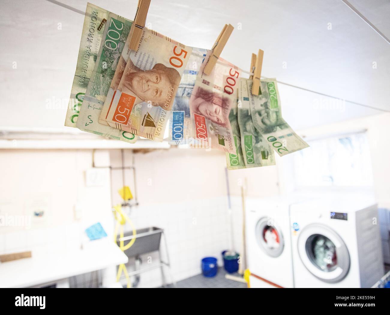 Washed swedish notes on a drying stretch. photo: Bo Arrhed Stock Photo ...
