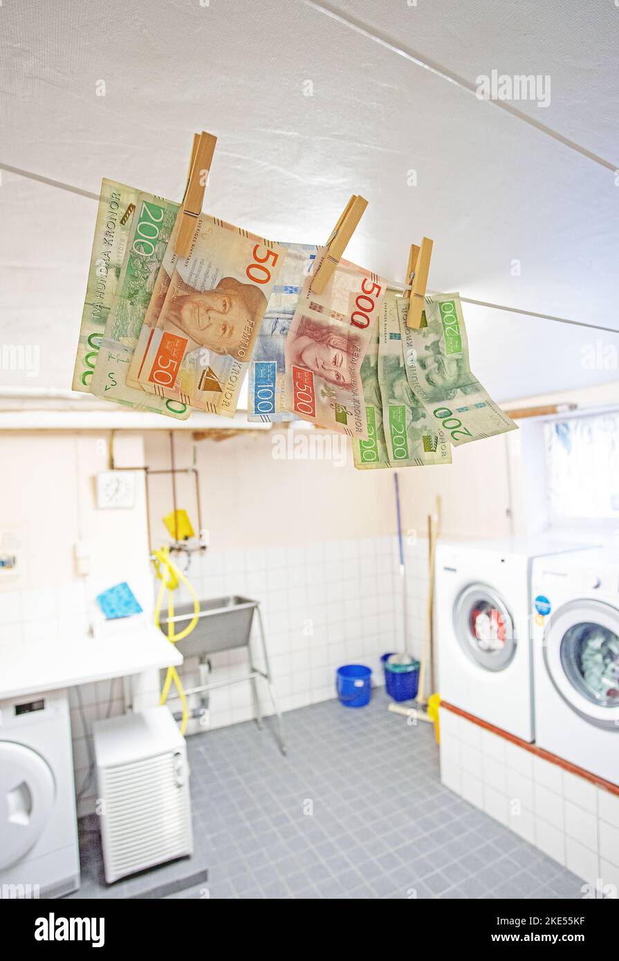 Washed swedish notes on a drying stretch. photo: Bo Arrhed Stock Photo ...