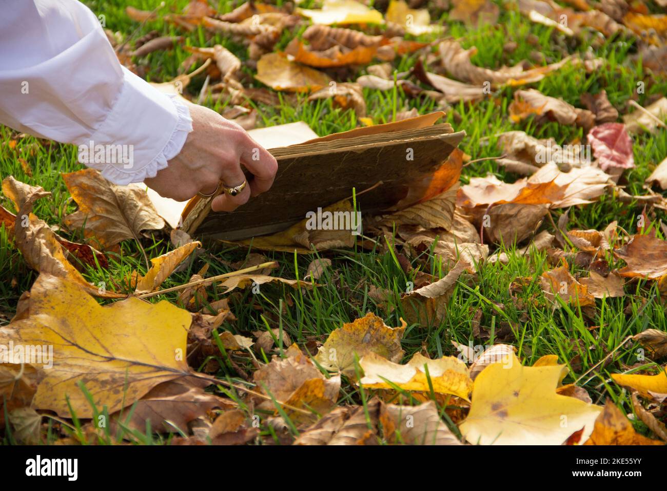 Pages book hand hi-res stock photography and images - Alamy