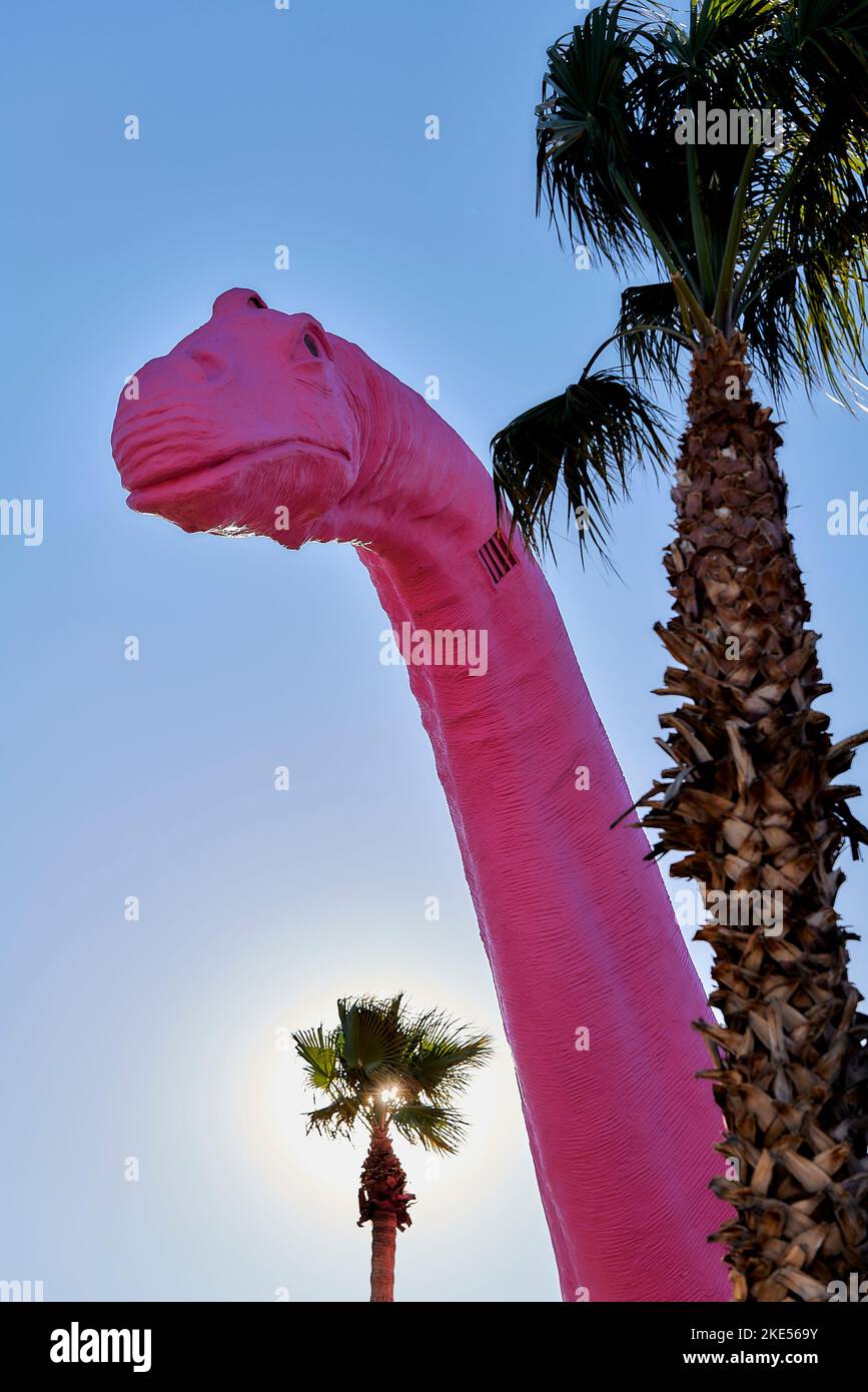 A low angle of a pink decorative dinosaur against palm trees and a ...
