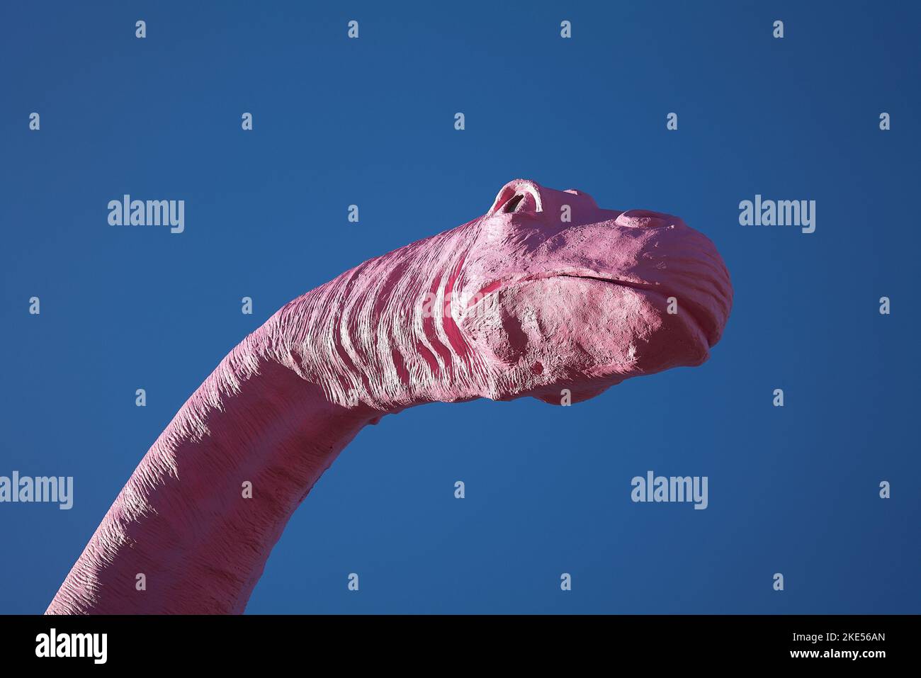 A low angle of a pink decorative wax dinosaur head against a cloudless ...