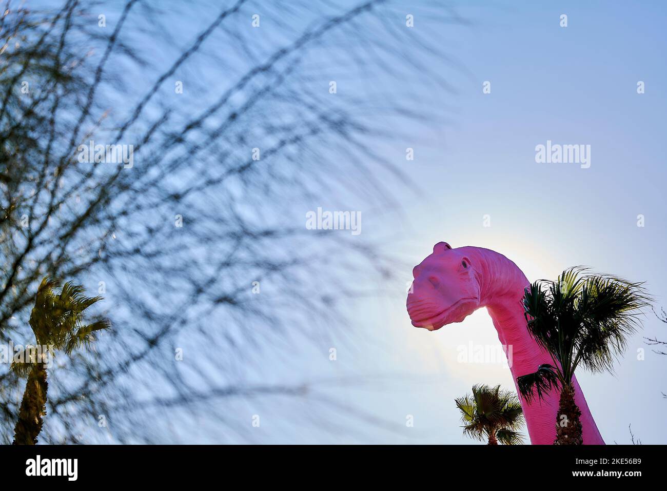 A low angle of a pink decorative dinosaur against palm trees and a ...