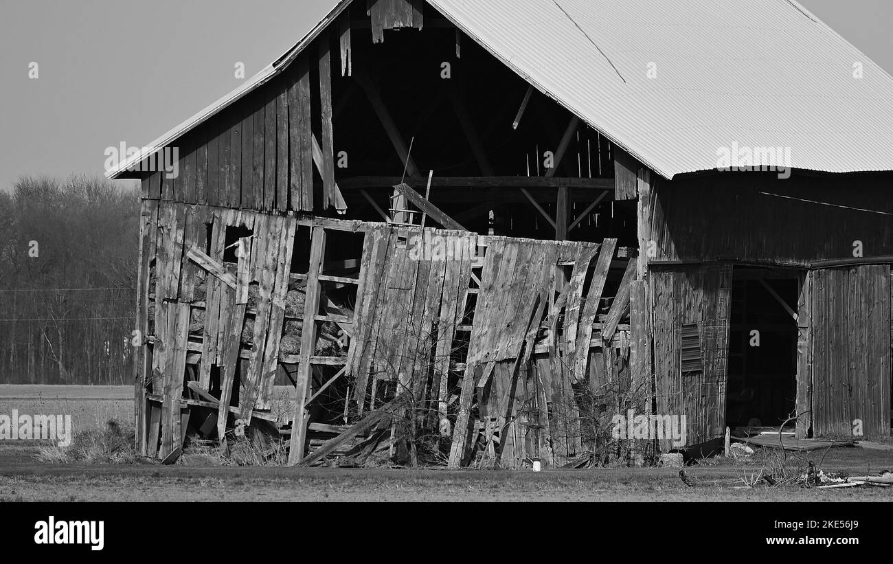 A grayscale closeup of an old barn with a broken, abandoned wooden ...