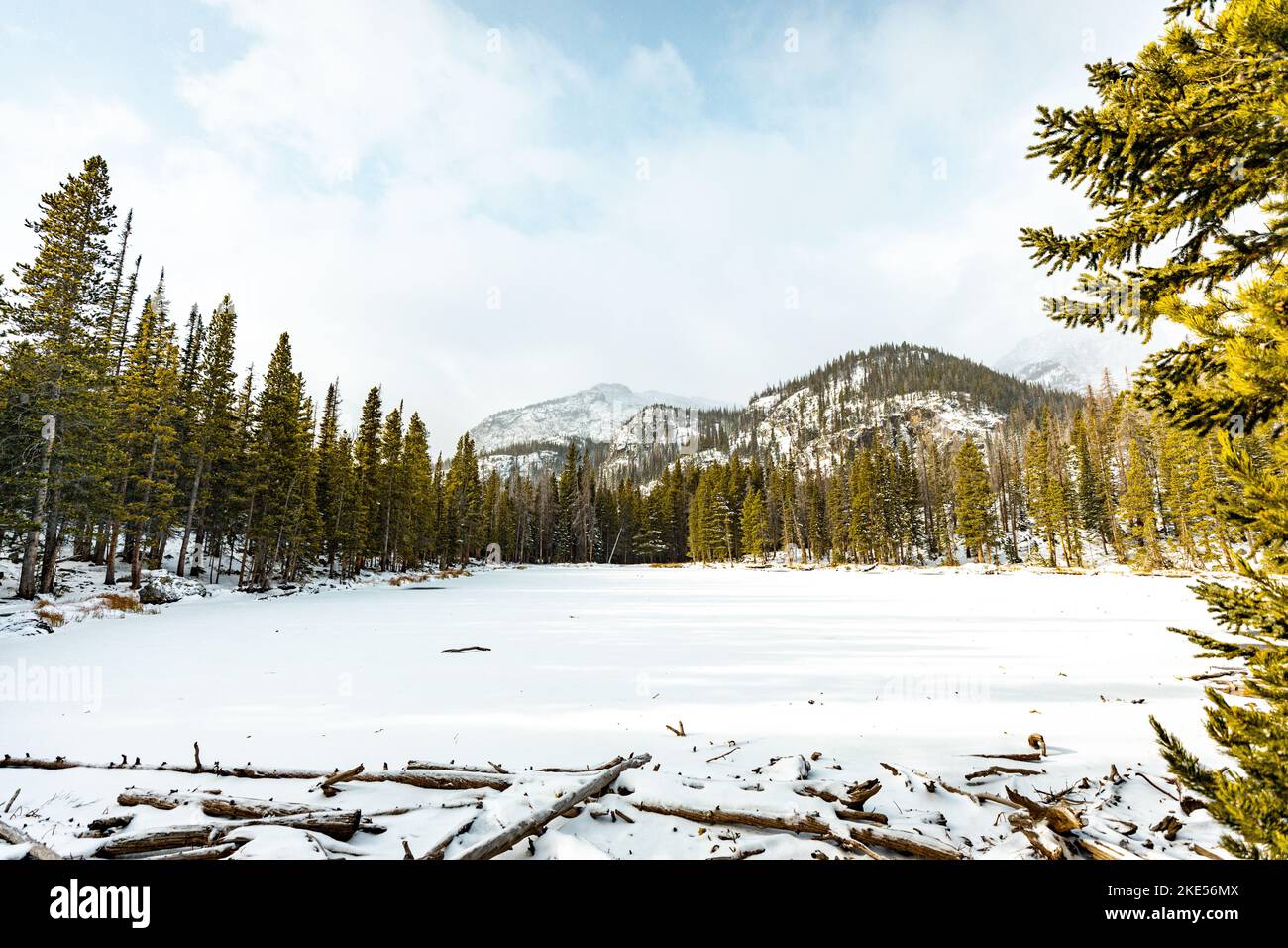 A scenic view of a field surrounded by mountains covered with pine ...