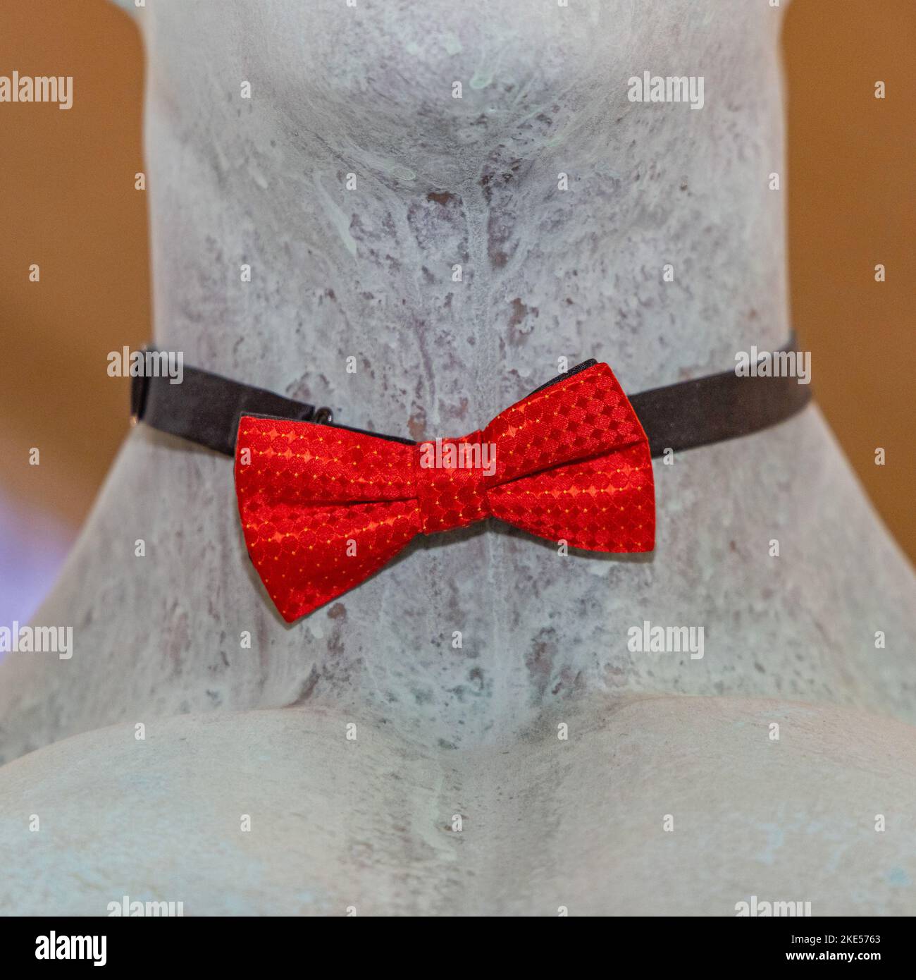 Red ribbon around neck hi-res stock photography and images - Alamy