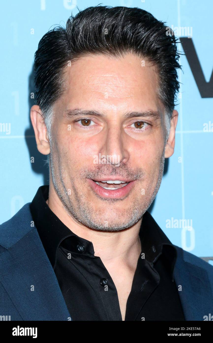 November 9, 2022, Los Angeles, CA, USA: LOS ANGELES - NOV 9: Joe ...