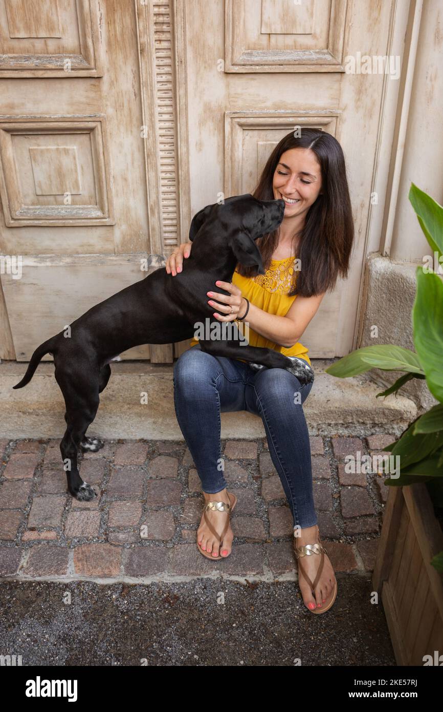 Rhodesian ridgeback dalmatian hi-res stock photography and images - Alamy