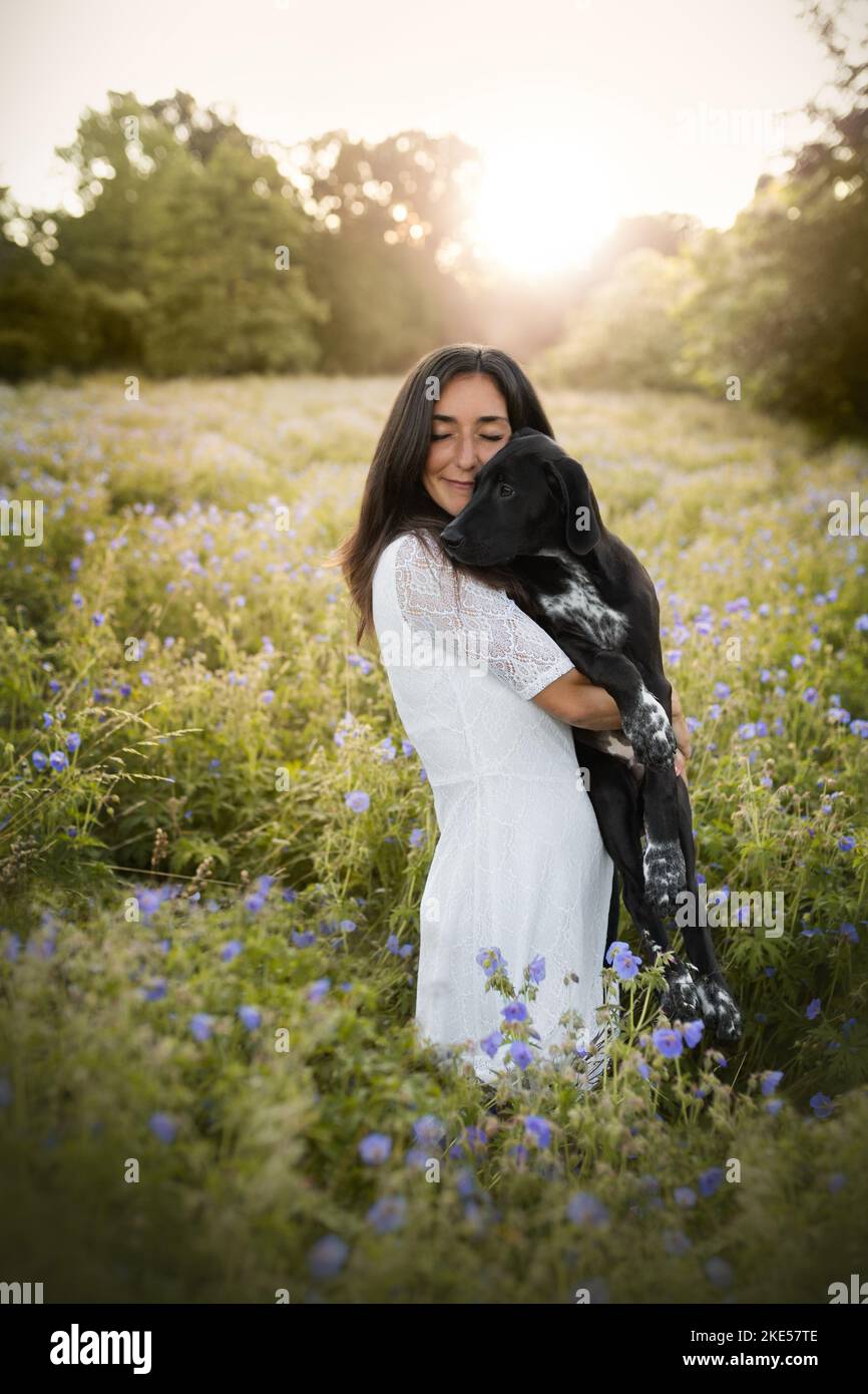 Rhodesian ridgeback dalmatian hi-res stock photography and images - Alamy