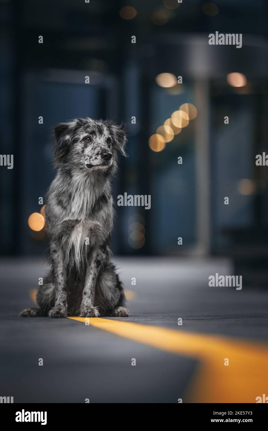 Pyrenean house hi-res stock photography and images - Alamy