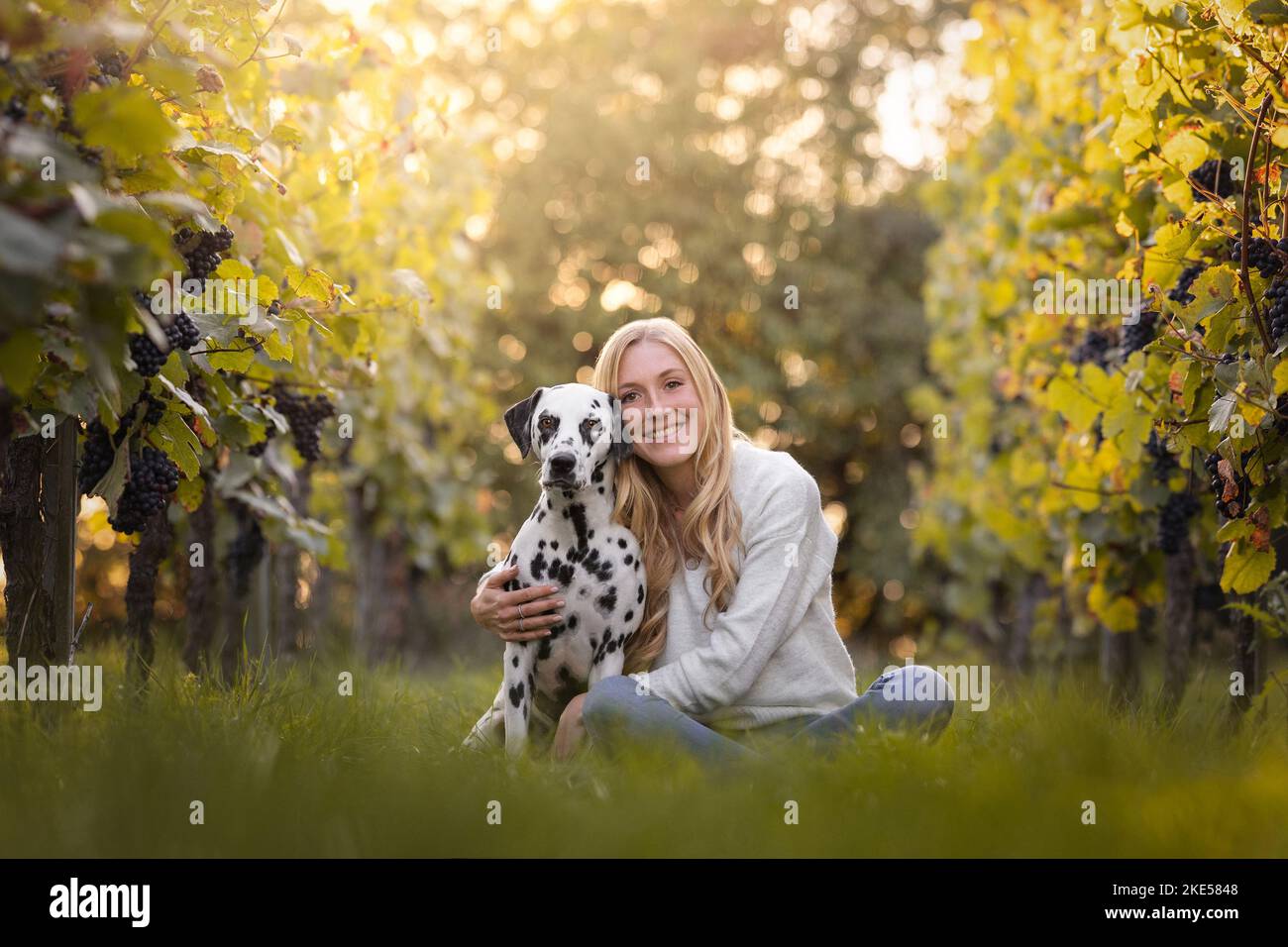 woman and Dalmatian Stock Photo - Alamy
