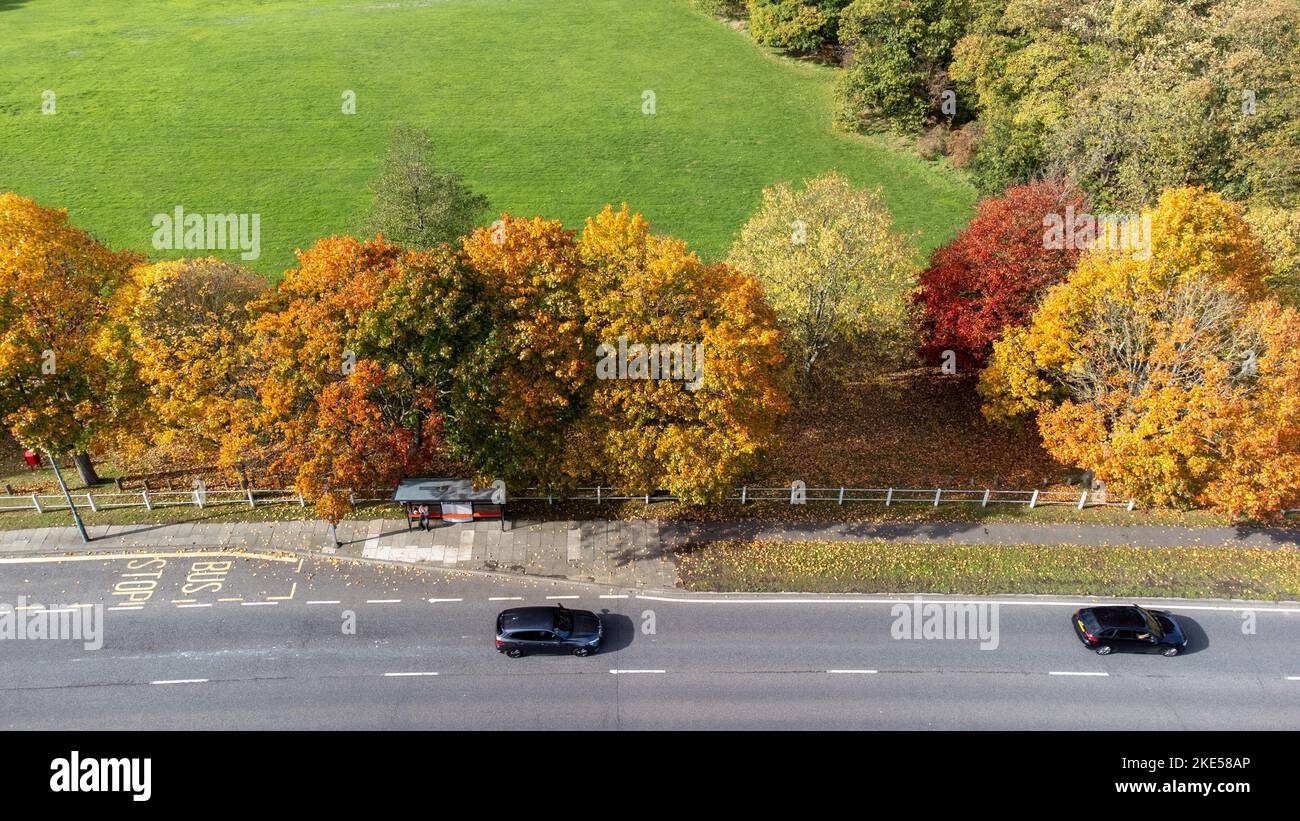 An aerial view of a road with cars at the beautiful colorful autumn ...