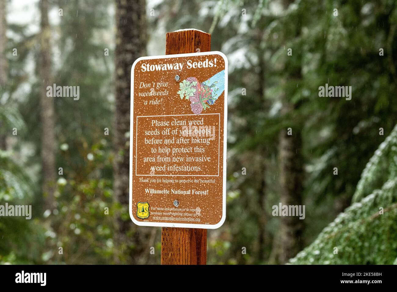 A closeup of "Stowaway seed" sign of USA forest service to control ...