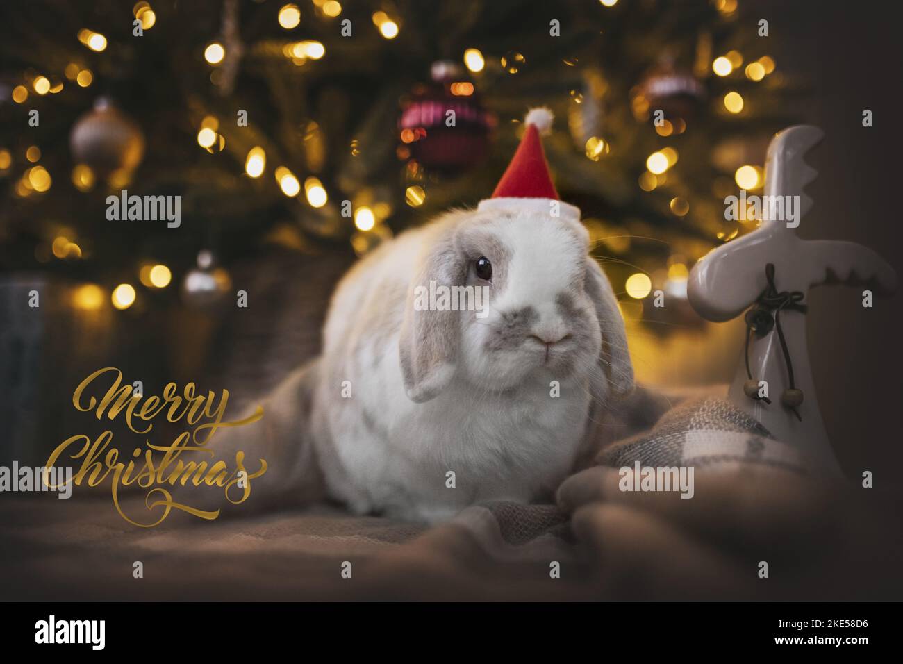 String white mini lights hi-res stock photography and images - Alamy