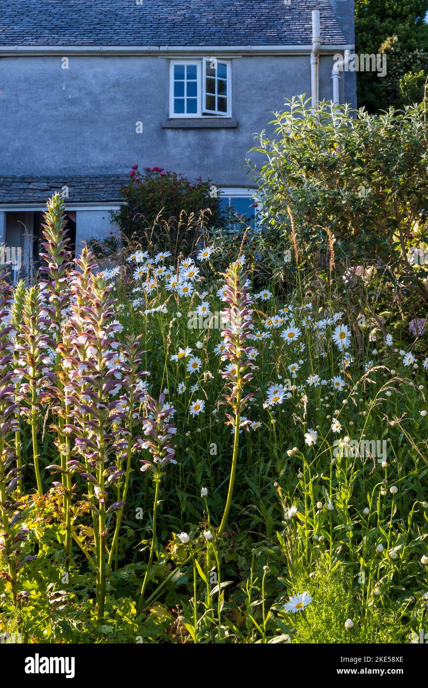 Prawle cottage hi-res stock photography and images - Alamy