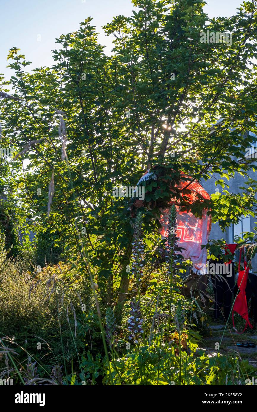 laundry hanging from tree in overgrown cottage garden, Devon Stock ...