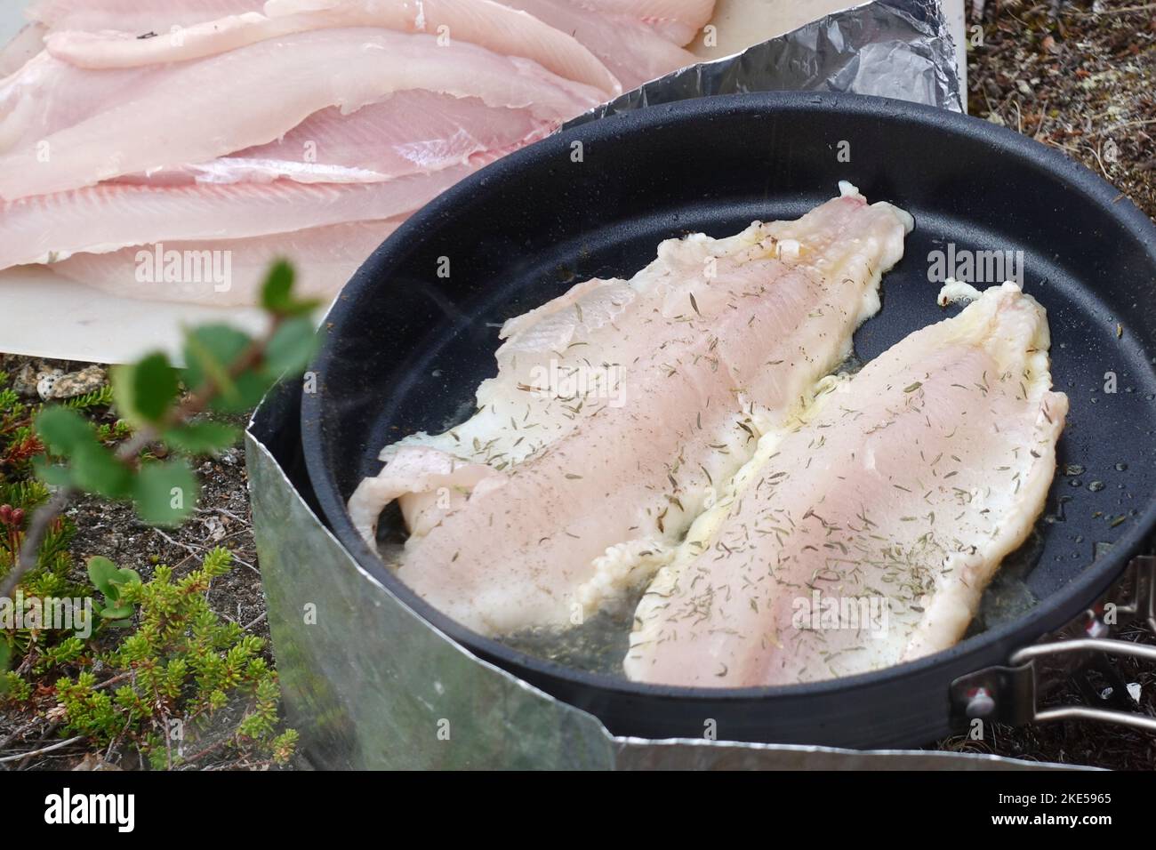 Pile of fishes hi-res stock photography and images - Alamy