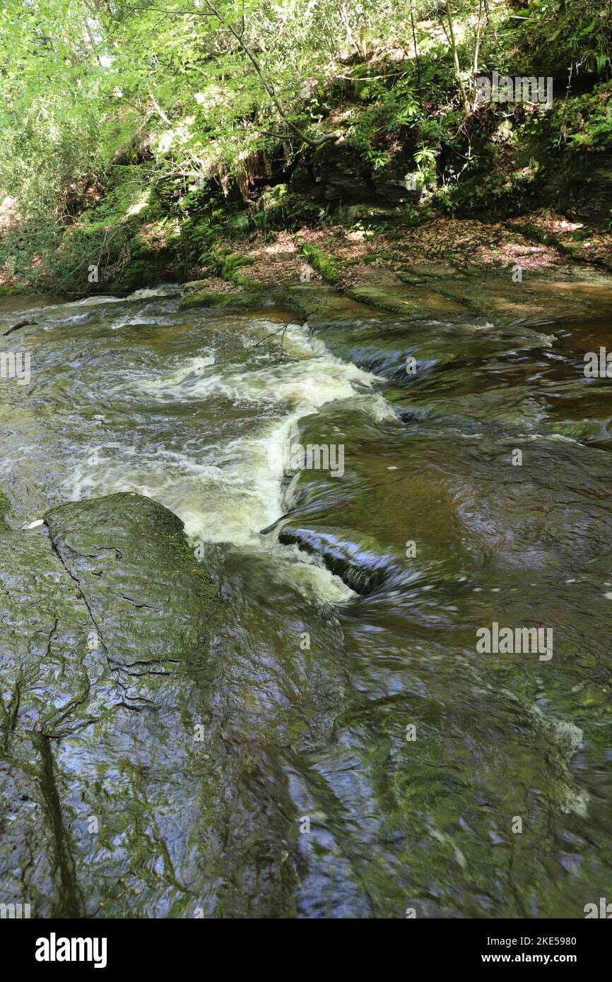 Plas power park hi-res stock photography and images - Alamy