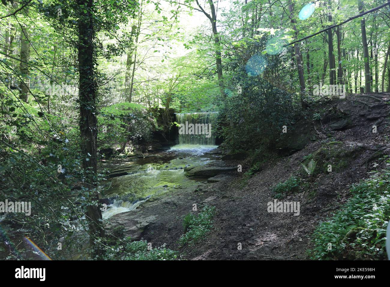 A beautiful view of a waterfall in Plas Power Park in The United ...