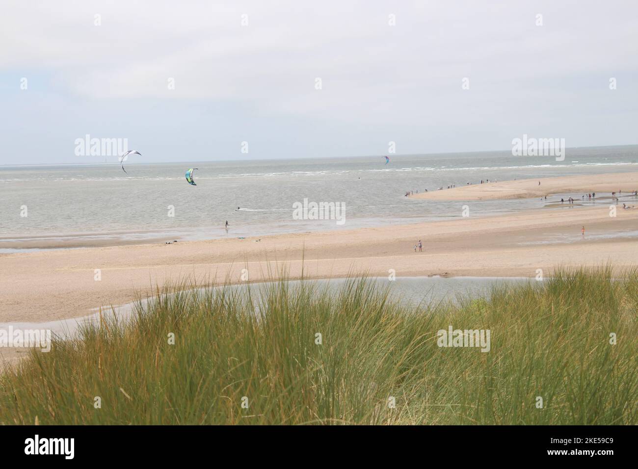 A scenic display of seabirds flying over white sand dunes and grass ...
