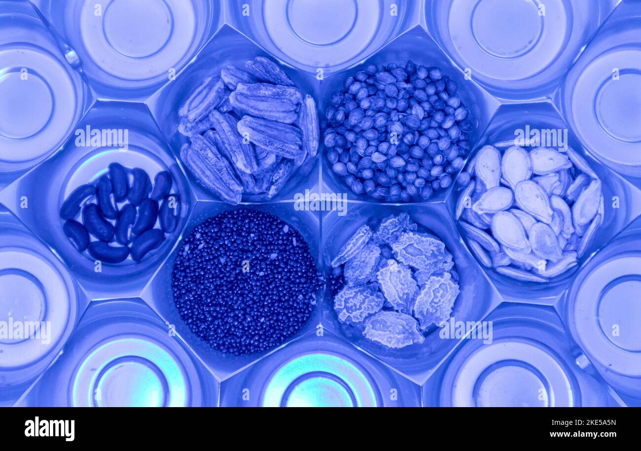 Photo of Sack Whole Coriander, stem amaranth, sweet gourd, gourd ...