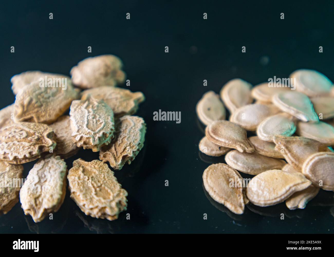 Seeds of Ash Gourd also called White Gourd and bitter gourd Stock Photo ...