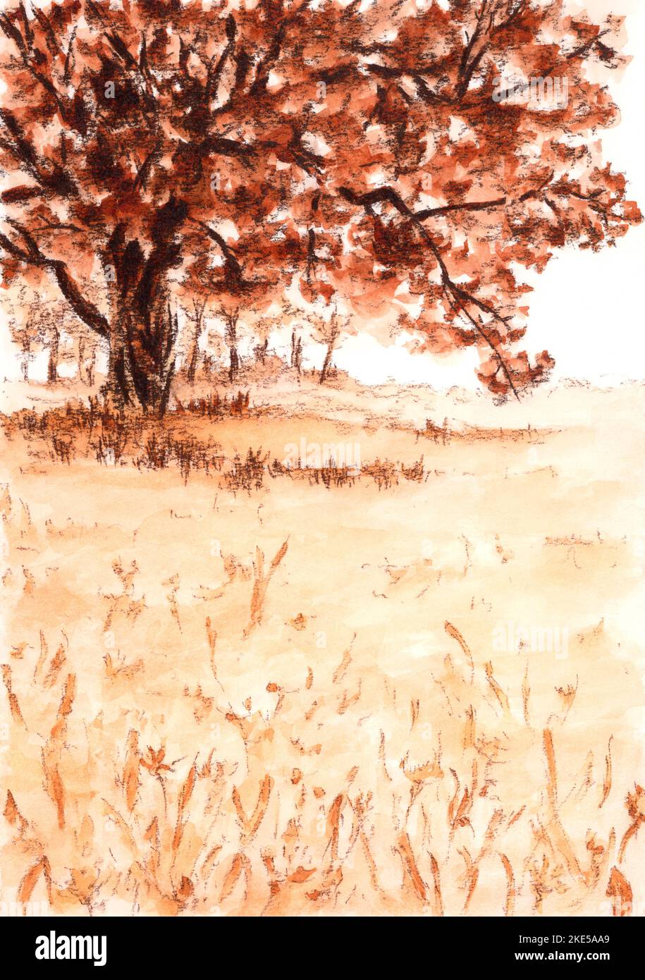 Sepia wash drawing hi-res stock photography and images - Alamy