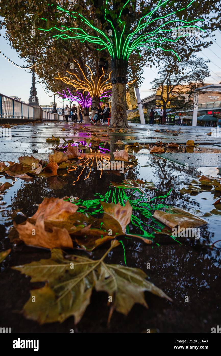 Autumn leaves and the Loomin light sculpture by David Ogle on the ...