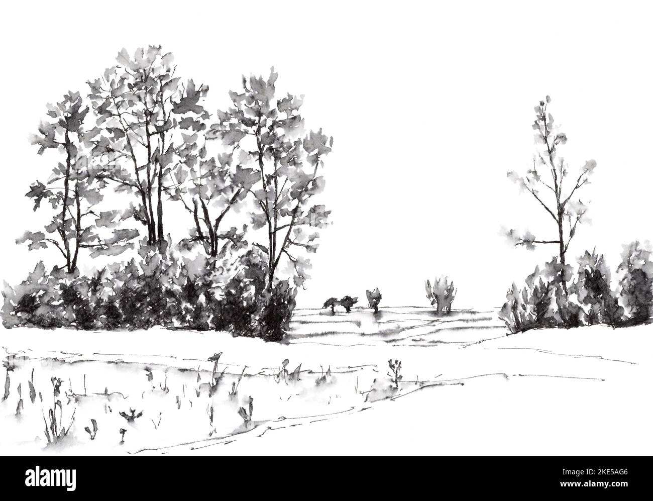 Sketch trees black Cut Out Stock Images & Pictures - Alamy