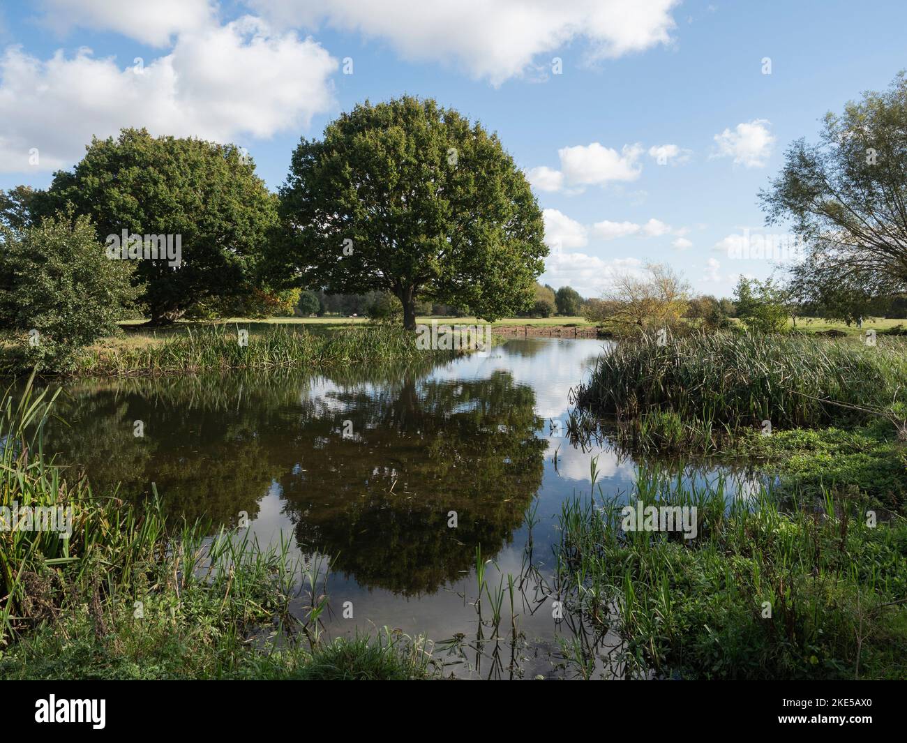 River Stour, Dedham to Flatford, Suffolk, England, UK Stock Photo - Alamy