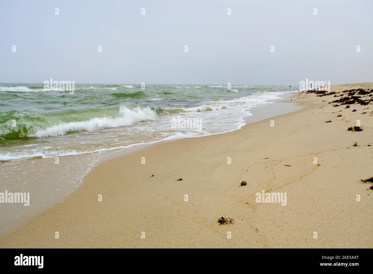 Beach Baltic Sea coast with quartz sand and rolling waves Stock Photo ...