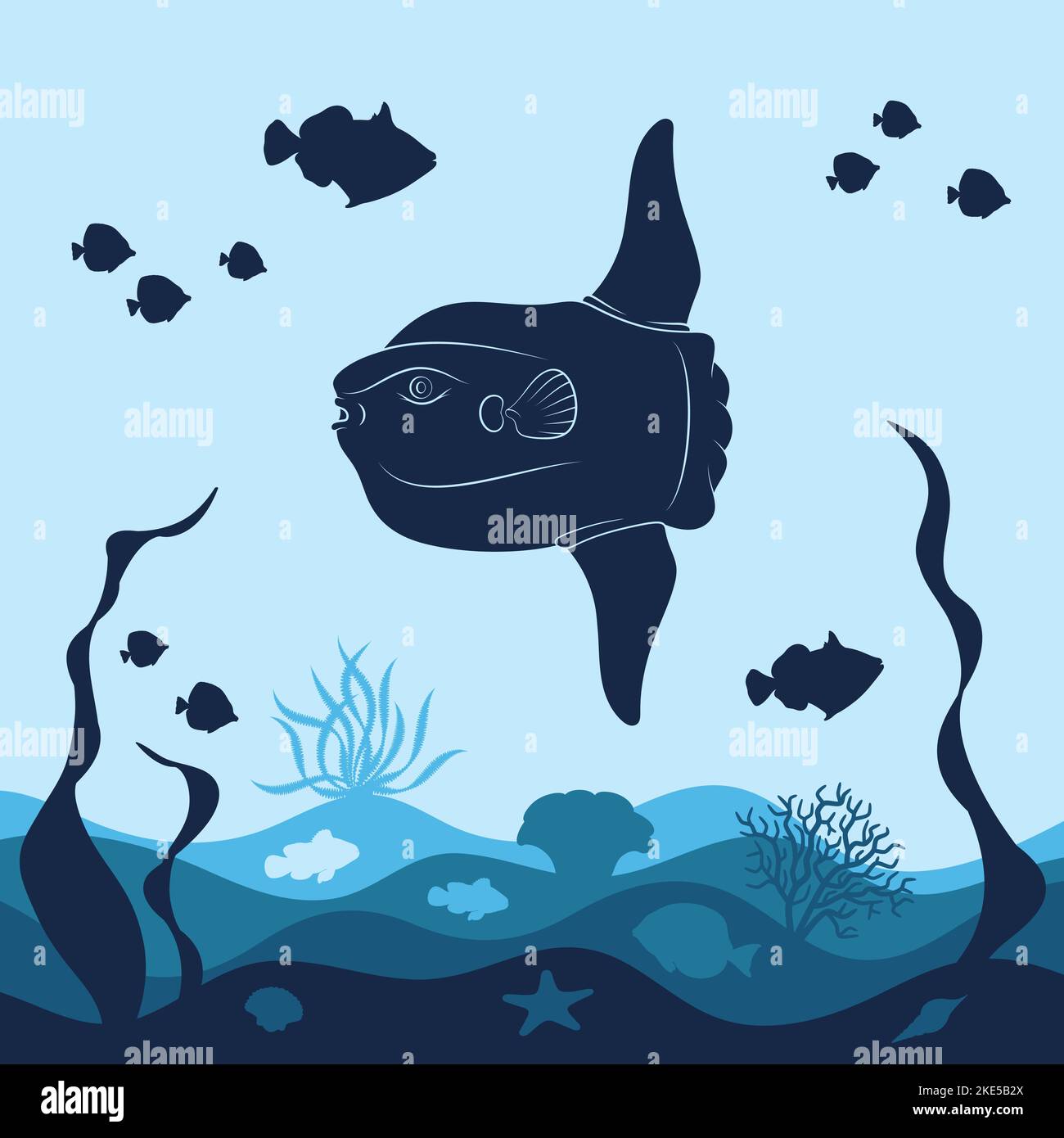 Marine background with fish moon, mola mola, corals. Isolated vector ...