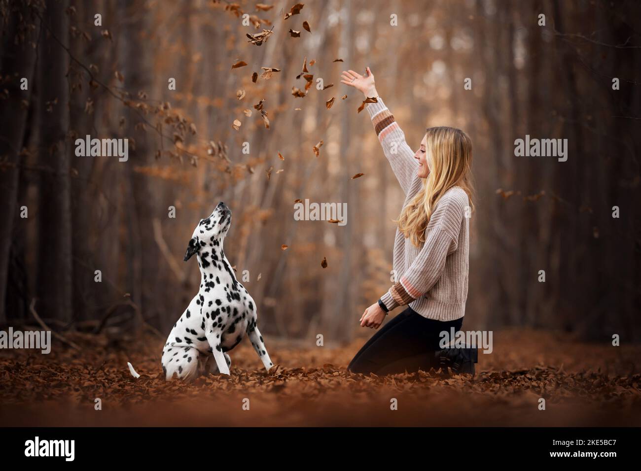woman and Dalmatian Stock Photo - Alamy
