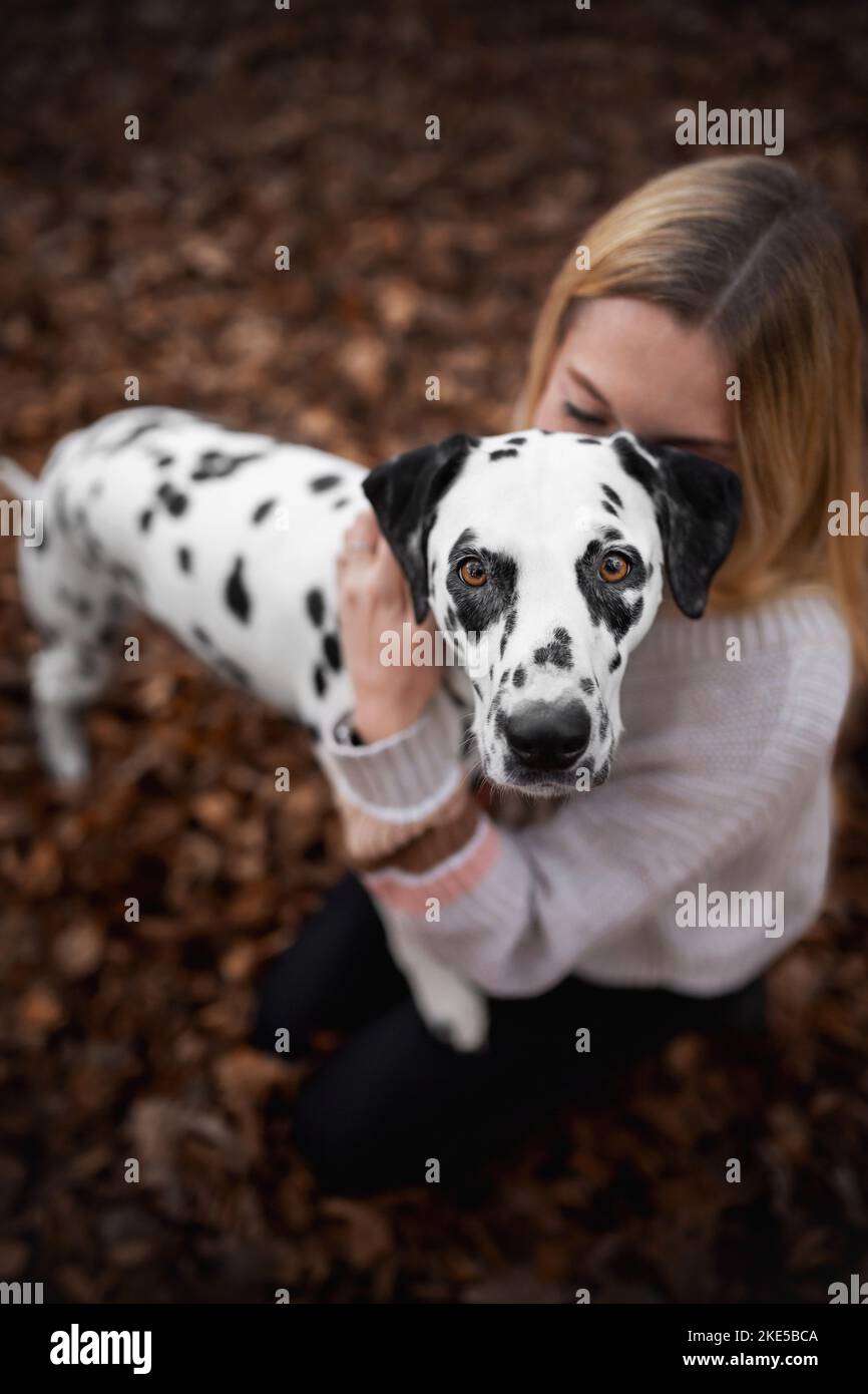woman and Dalmatian Stock Photo - Alamy