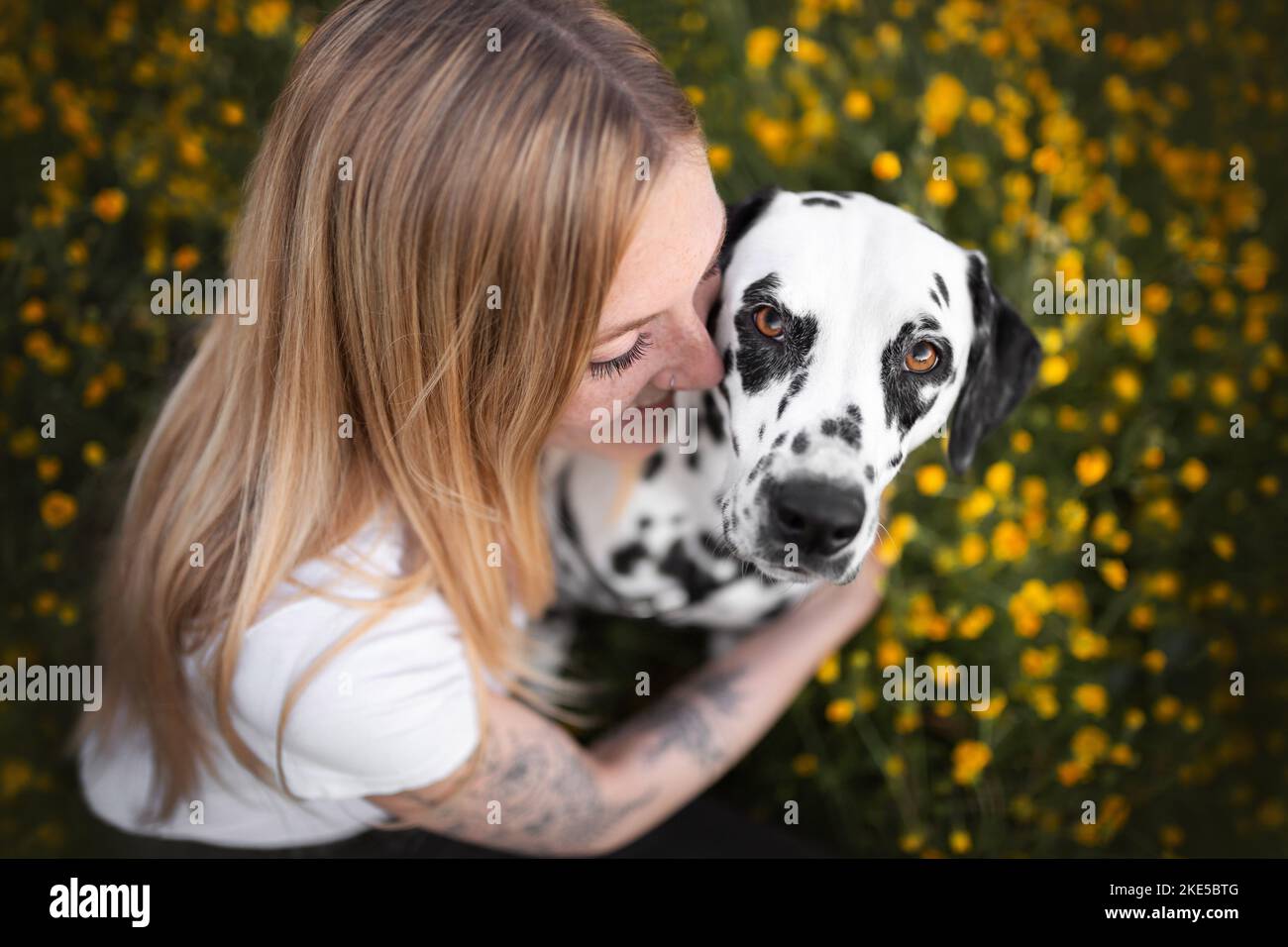 woman and Dalmatian Stock Photo - Alamy