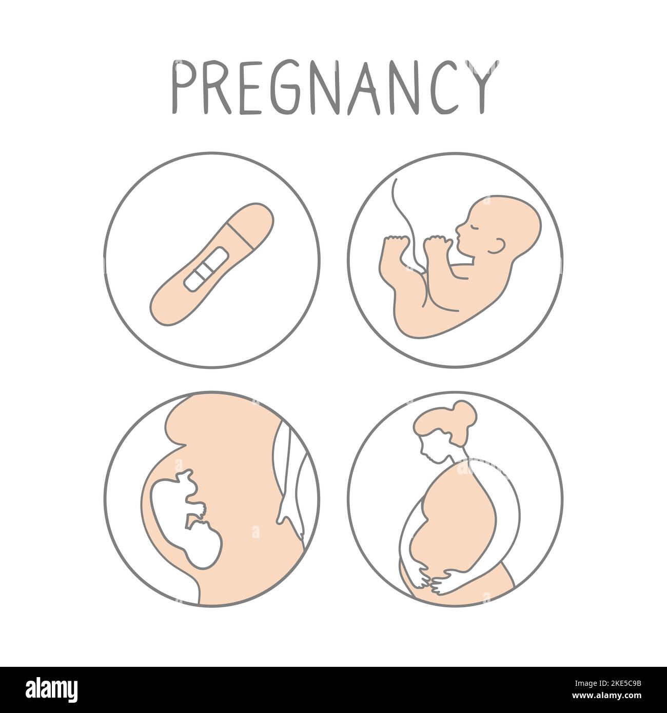 Pregnancy icon set. Linear simple illustration fertilization and ...