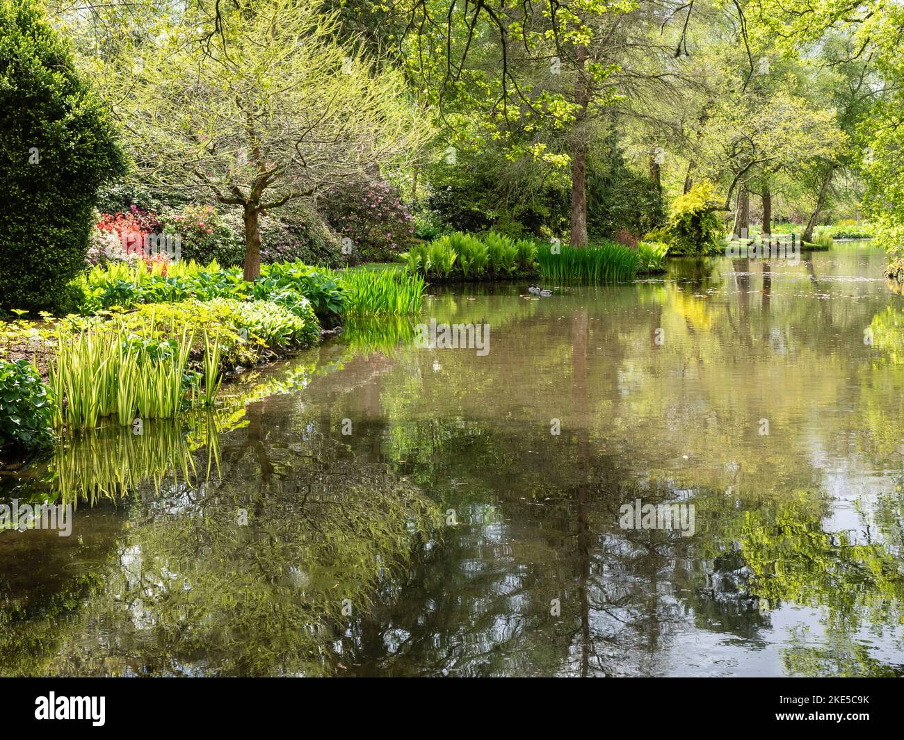 Longstock Park Water Gardens, Longstock, Stockbridge, Hampshire ...