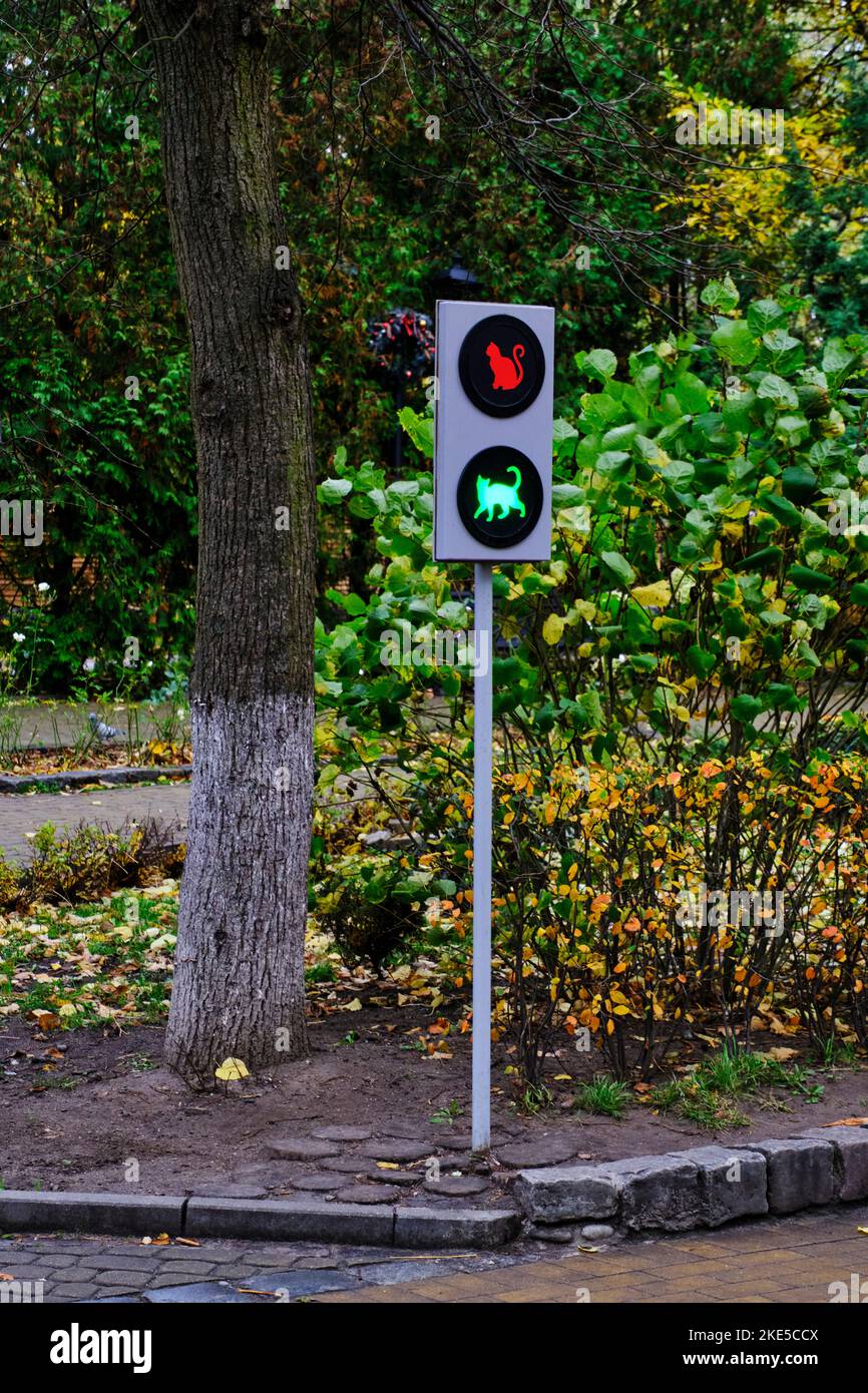 Traffic light for cats, tourist attraction in Zelenogradsk Stock Photo ...