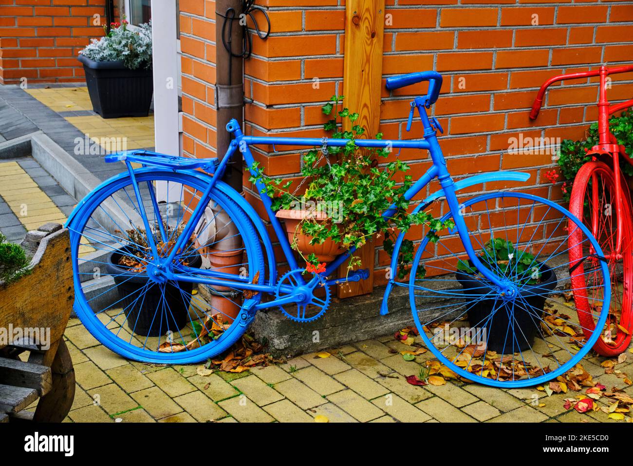Street decor two old bicycles are painted blue and red Stock Photo - Alamy