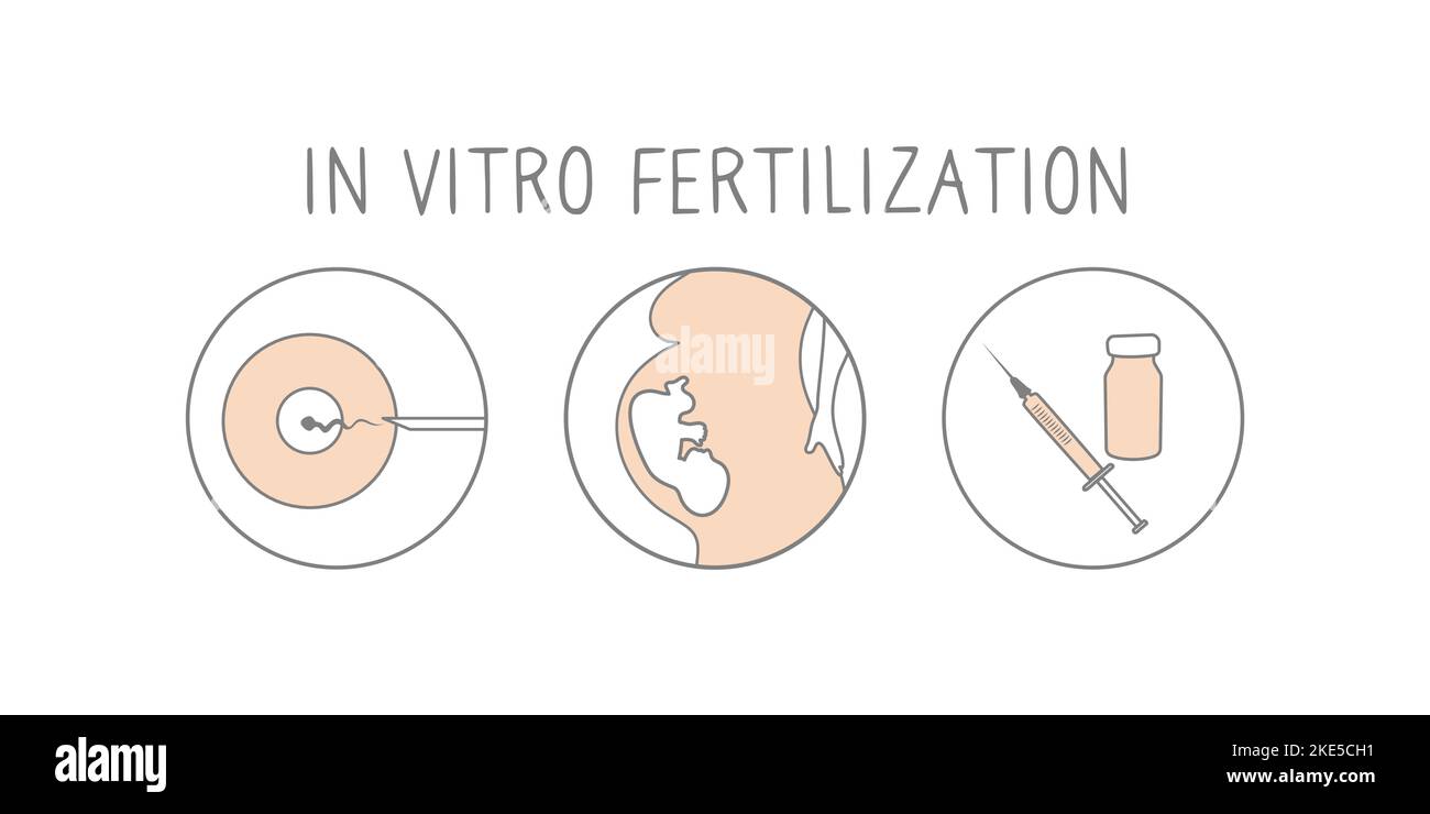 In vitro fertilization icon set. Linear simple illustration pregnancy ...