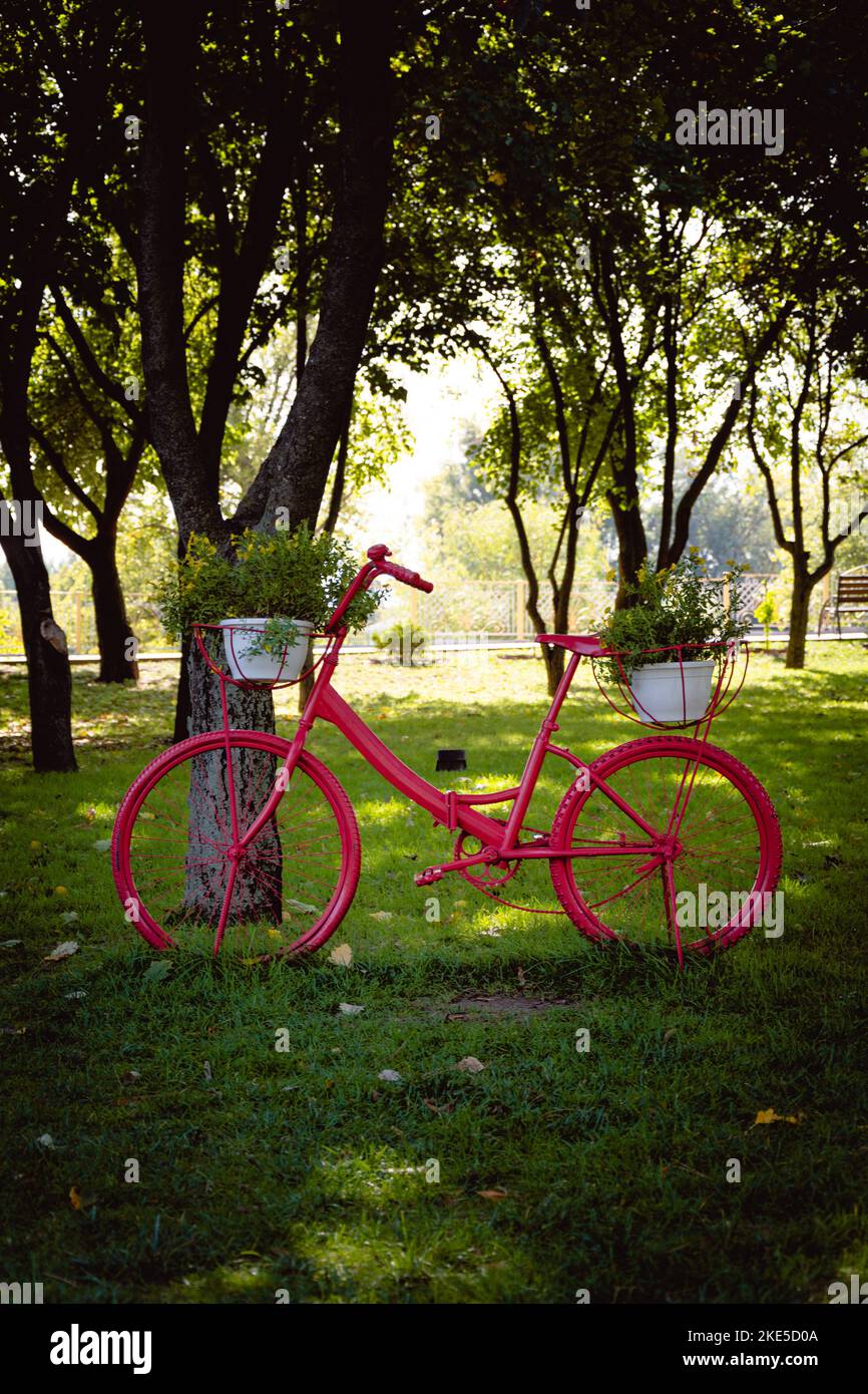 Bicycle flower bed. Decorative vintage bicycle shape stand with yellow ...
