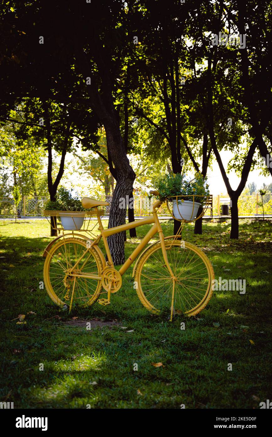 Bicycle flower bed. Decorative vintage bicycle shape stand with yellow ...