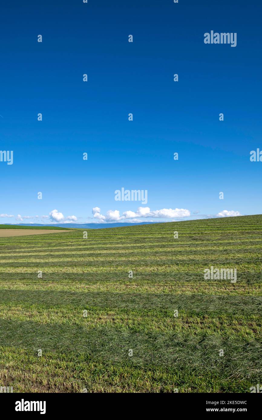 Suisse, Schweiz, Switzerland, Vaud, Waadt, Canton de Vaud, Kanton Waadt ...