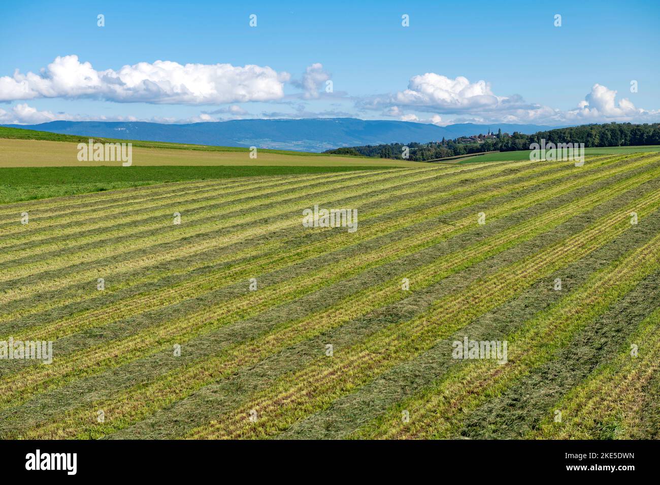 Village de montagne suisse hi-res stock photography and images - Alamy